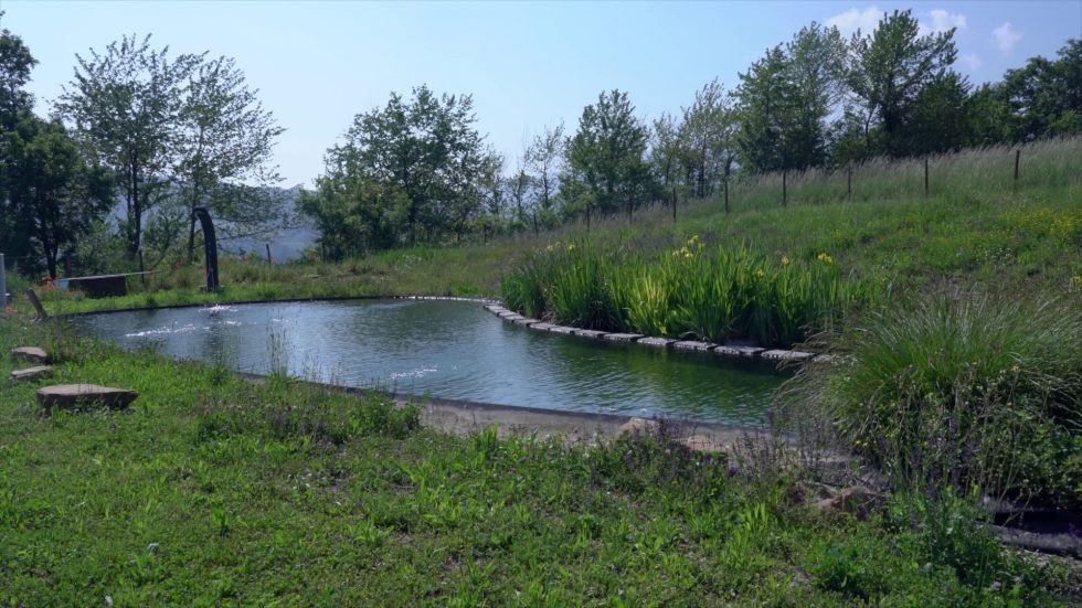 The bio-lake - SacreTerre